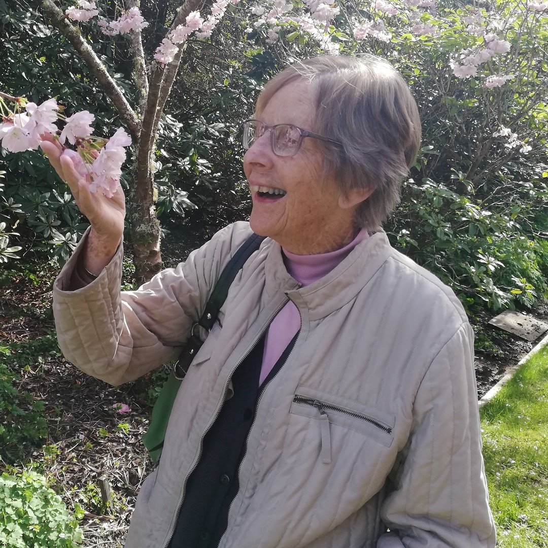 Funeral Notices & Services in Dunedin | Live Stream Now